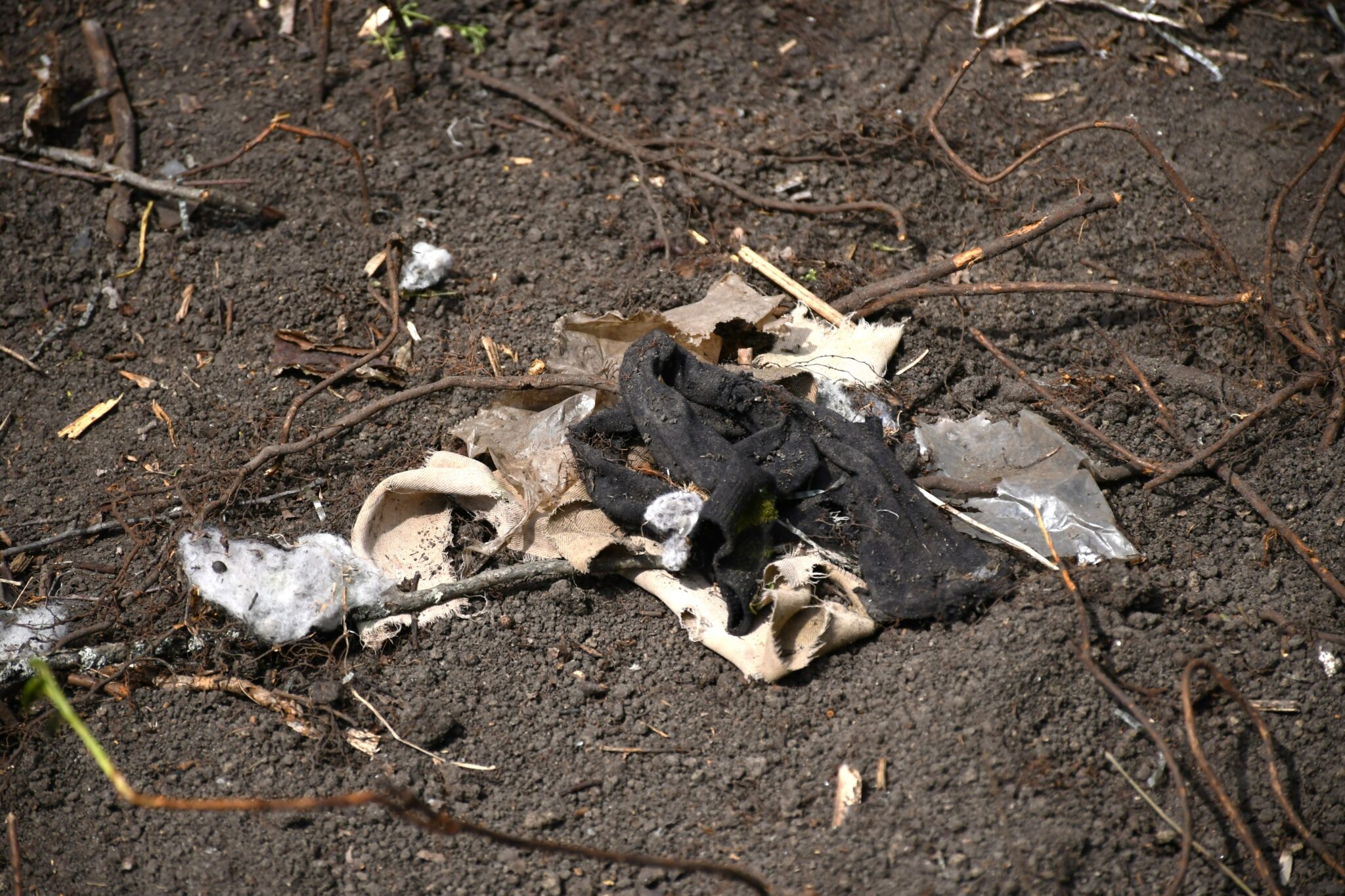 RCMP seek assistance to identify human remains found in RM of Moose Jaw ...